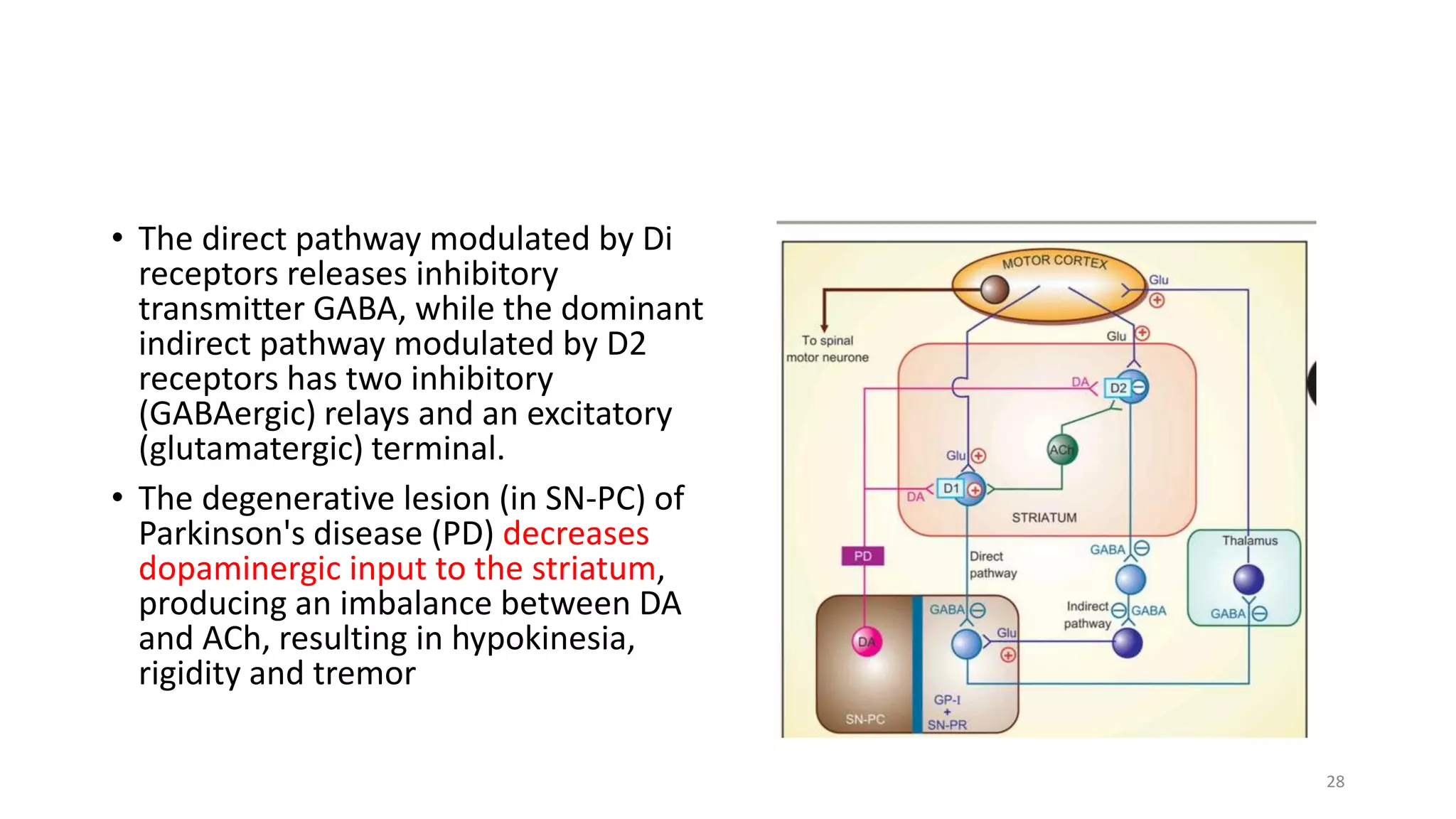 Pathophysiology of Spasticity | PPTX