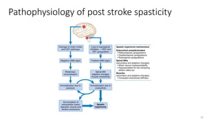 Pathophysiology of Spasticity | PPTX