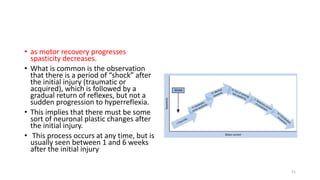 Pathophysiology of Spasticity | PPTX