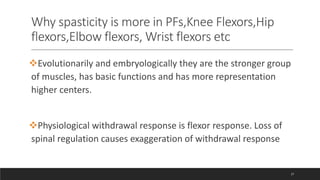 Pathophysiology of Spasticity | PPTX