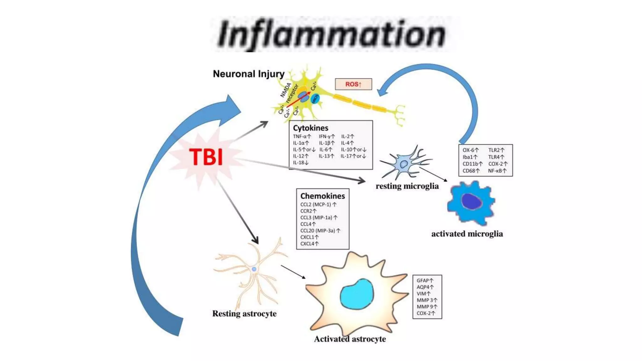 Traumatic Brain Injury (TBI) | PPTX