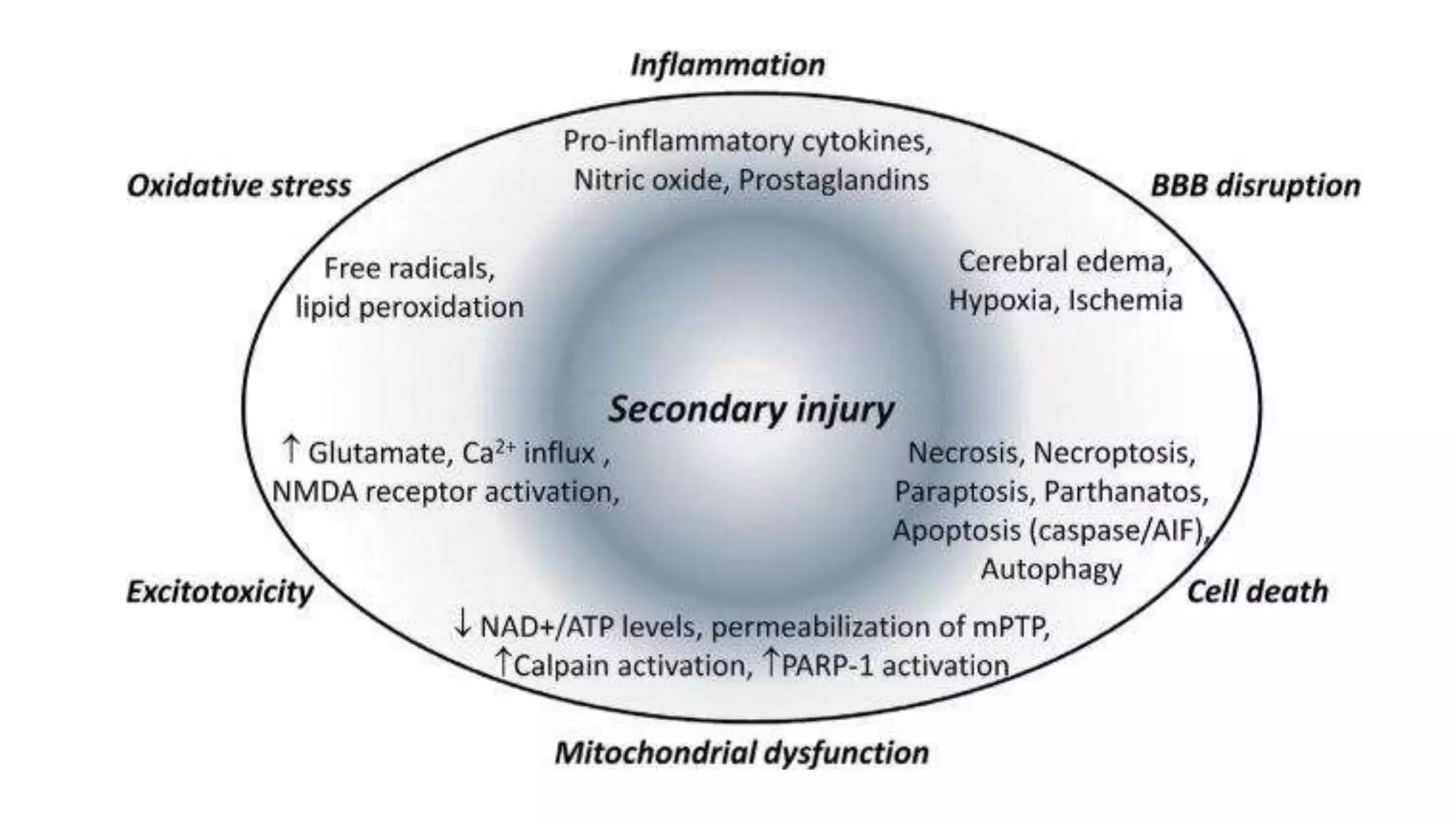 Traumatic Brain Injury (TBI) | PPTX