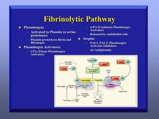 Pathophysiology of thromobosis and mana | PPTX