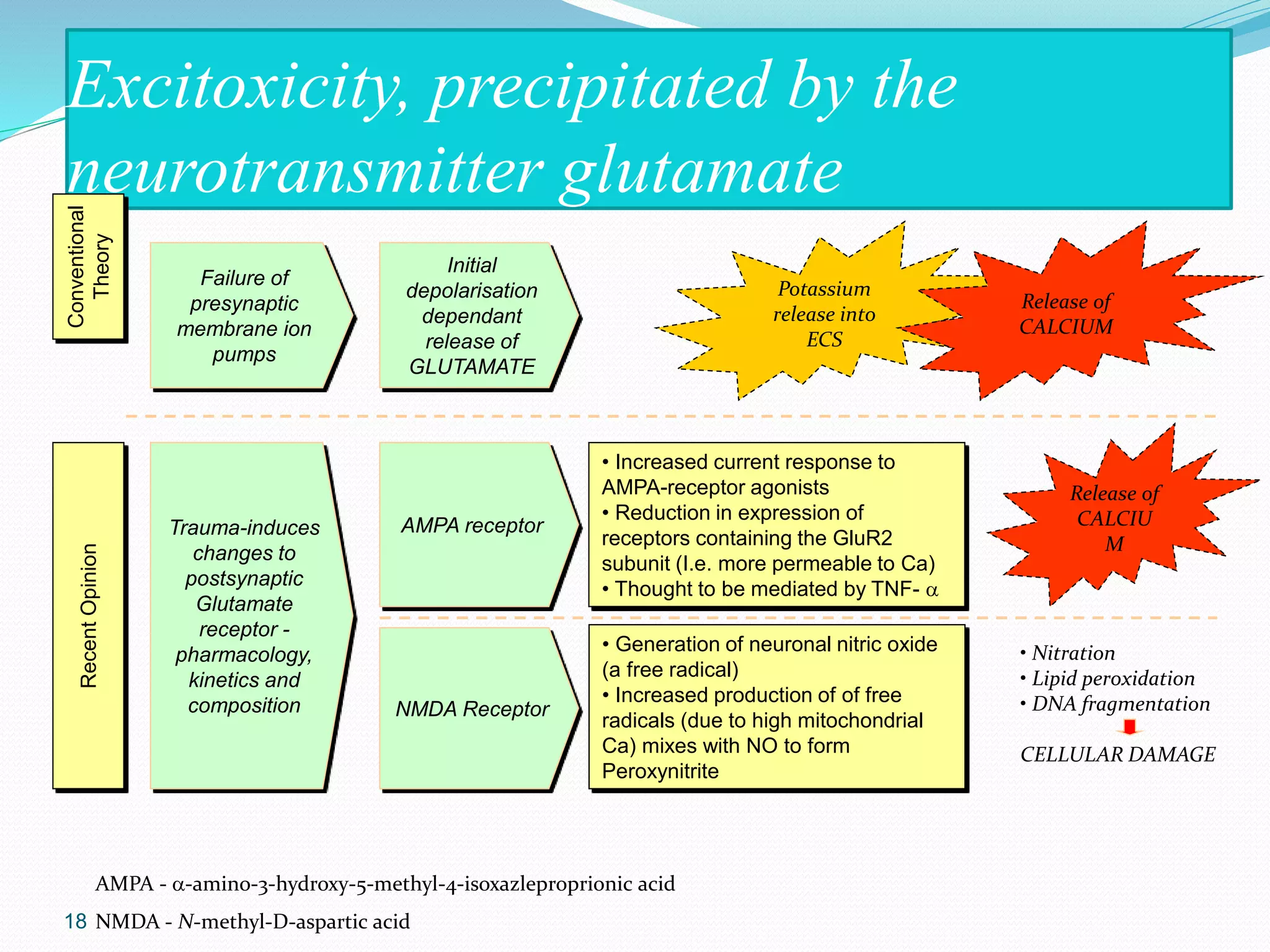 Pathophysiology of traumatic brain injury | PPTX