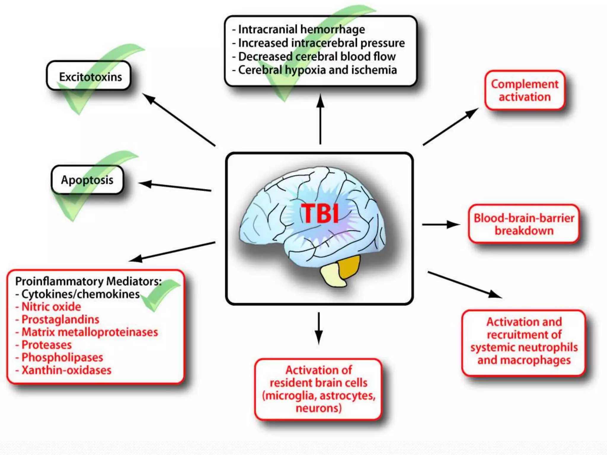Pathophysiology of traumatic brain injury | PPTX