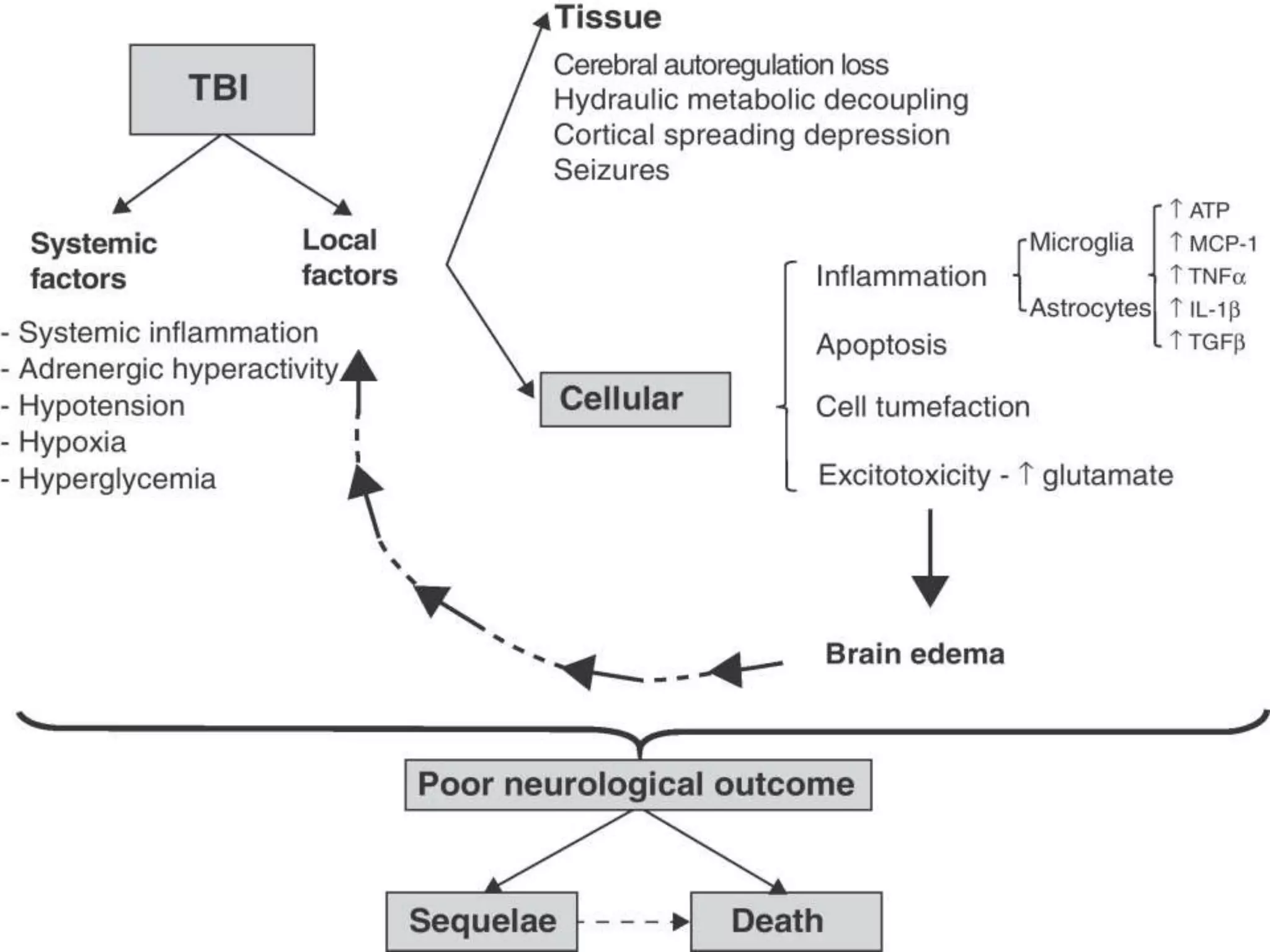 Pathophysiology of traumatic brain injury | PPTX