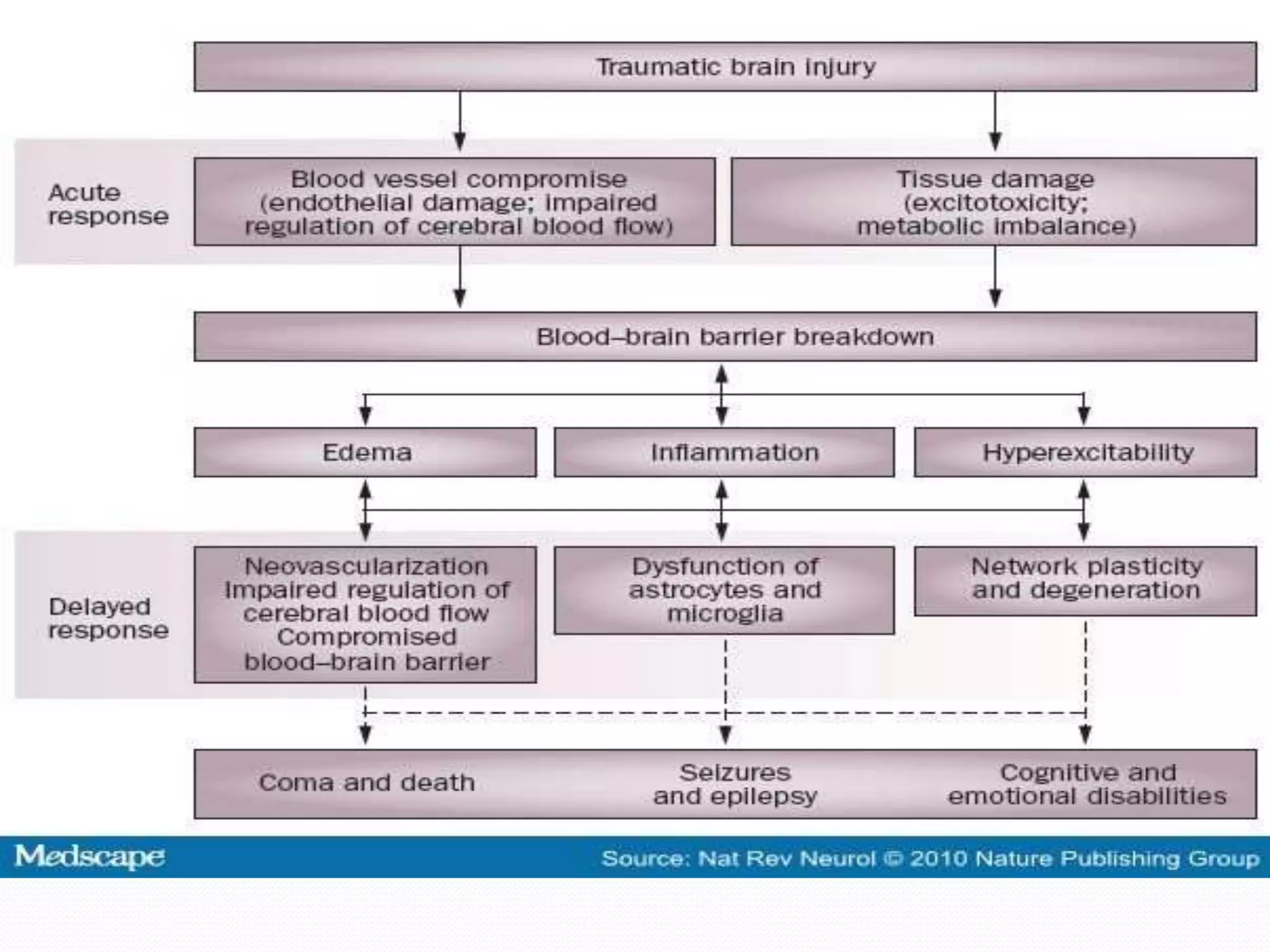 Pathophysiology of traumatic brain injury | PPTX