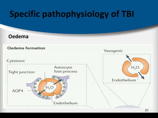Pathophysiology of traumatic brain injury | PPT
