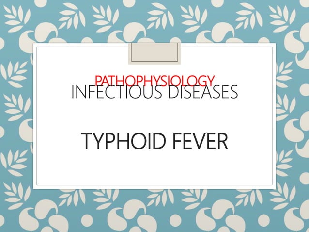 Pathophysiology of typhoid | PPTX
