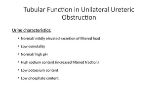 Pathophysiology of upper urinary tract obstruction.pptx