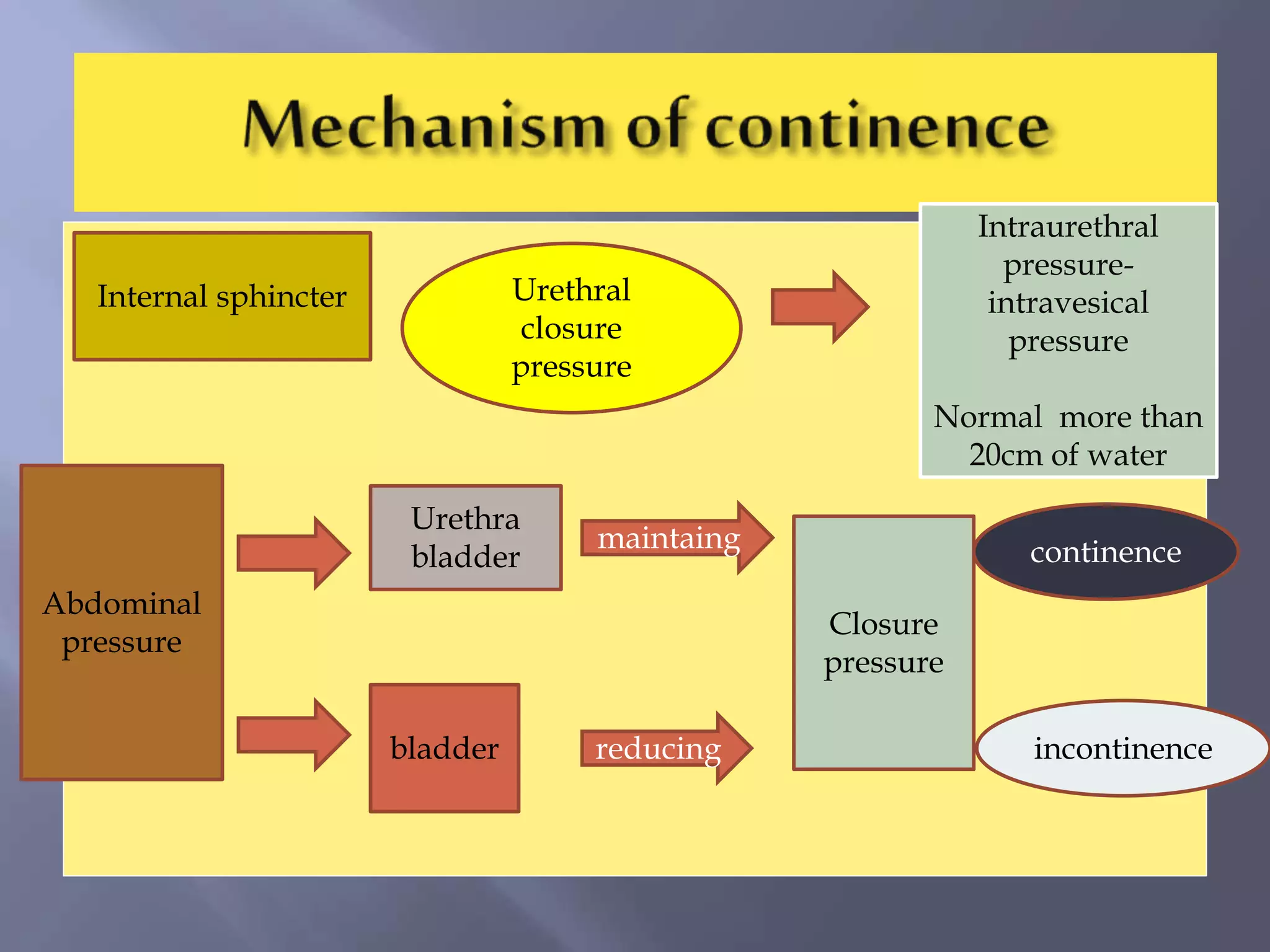 Pathophysiology of urinary incontinence | PPTX
