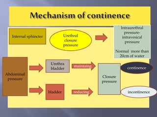 Pathophysiology of urinary incontinence | PPTX