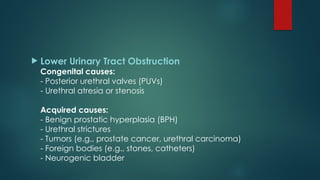 Pathophysiology of urinary tract obstruction.pptx