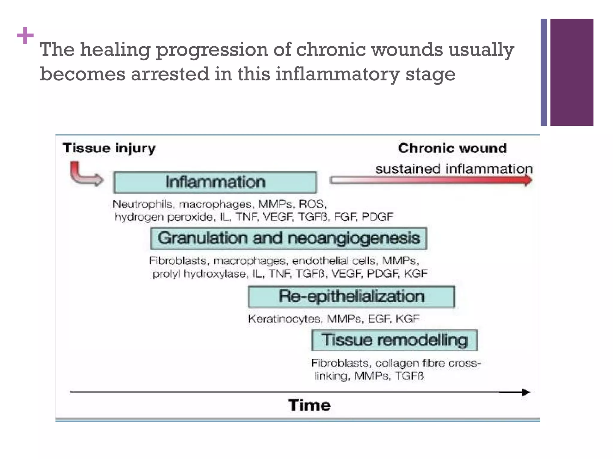 Pathophysiology of wound healing | PPT