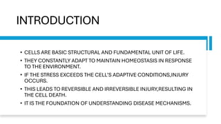 Pathophysiology Cell Injury Unit 1 (BPH) | PDF