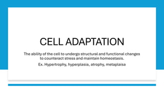 Pathophysiology Cell Injury Unit 1 (BPH) | PDF