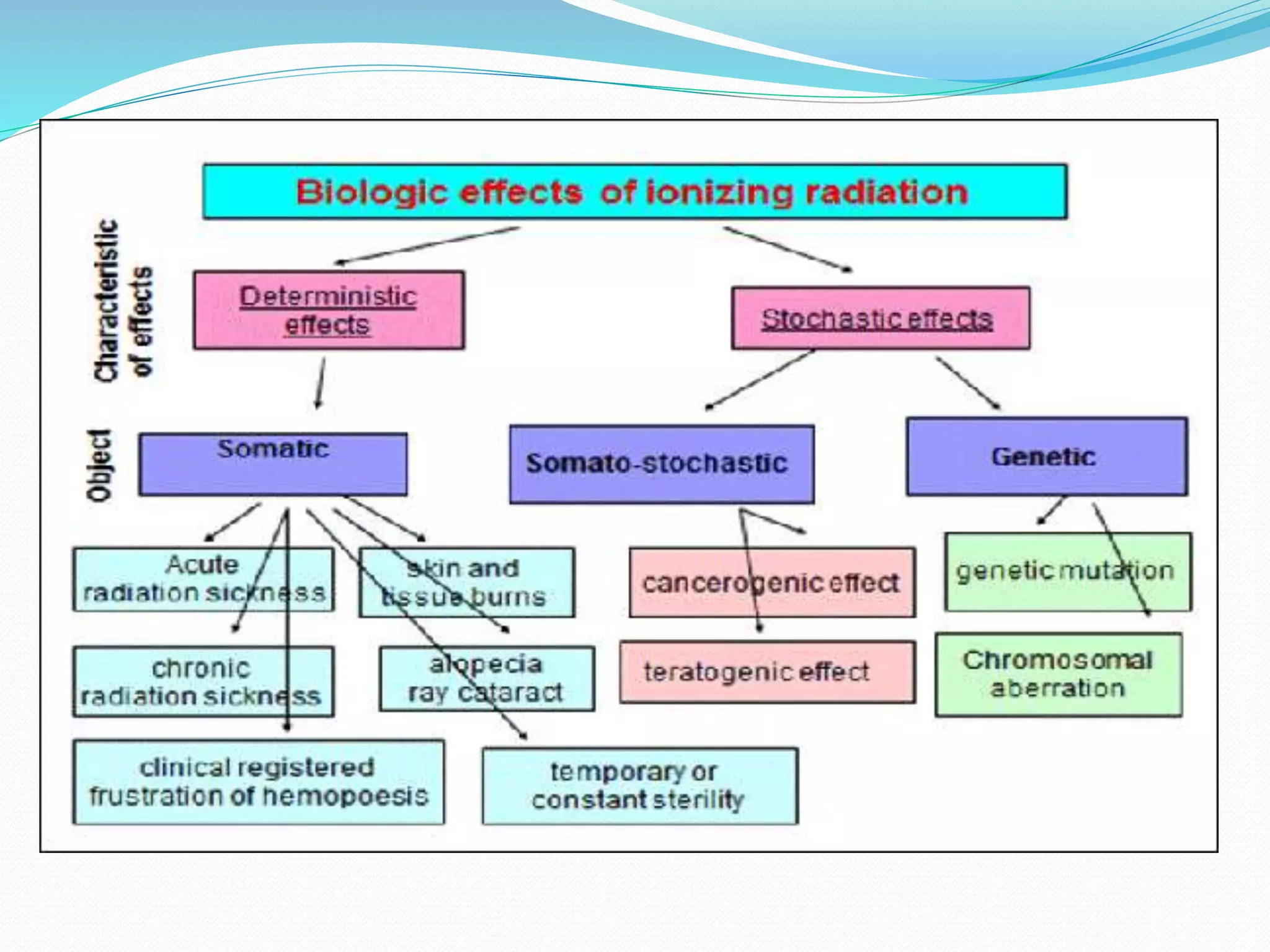 BIOLOGICAL EFFECTS OF RADIATION | PPTX