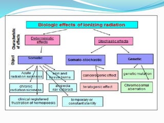 BIOLOGICAL EFFECTS OF RADIATION | PPTX