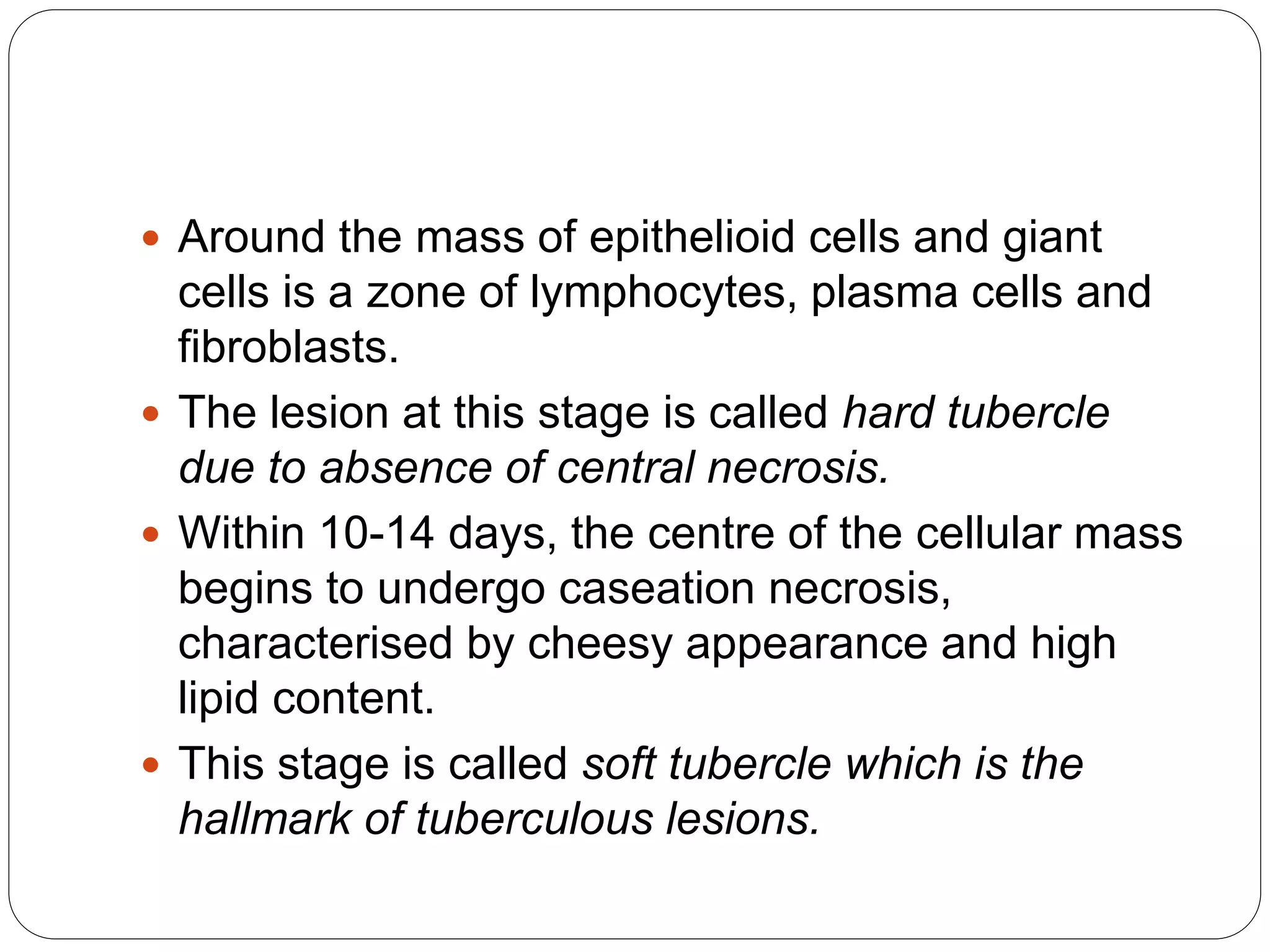 Pathophysiology tubercuslosis | PPTX