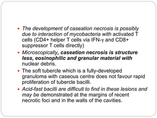 Pathophysiology tubercuslosis | PPTX