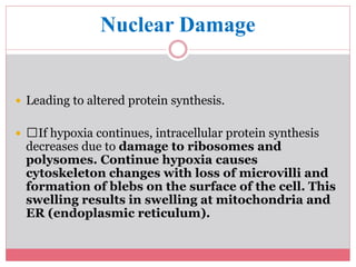 Pathophysiology Unit-I. Power Presentation | PPTX
