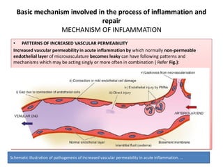 PATHOPHYSIOLOGY_Unit I_5_Mdfhshshshsejjef | PDF