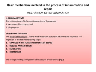PATHOPHYSIOLOGY_Unit I_5_Mdfhshshshsejjef | PDF
