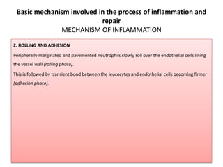 PATHOPHYSIOLOGY_Unit I_5_Mdfhshshshsejjef | PDF