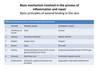 PATHOPHYSIOLOGY_Unit I_5_Mdfhshshshsejjef | PDF