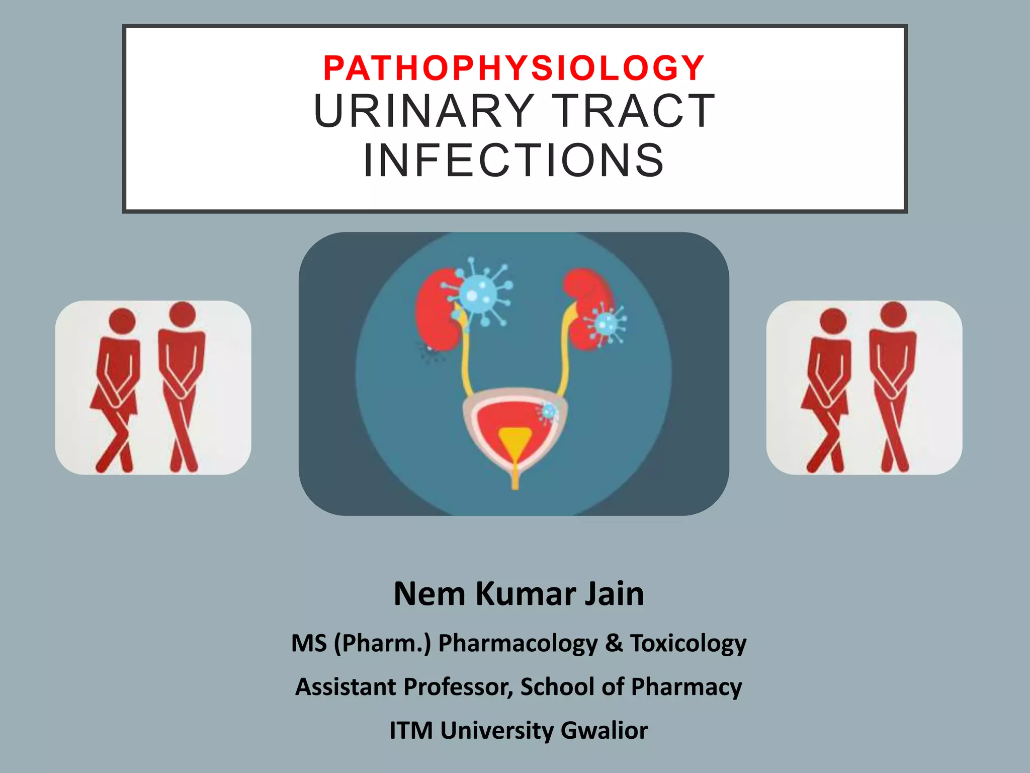 Pathophysiology urinary tract infections | PPTX