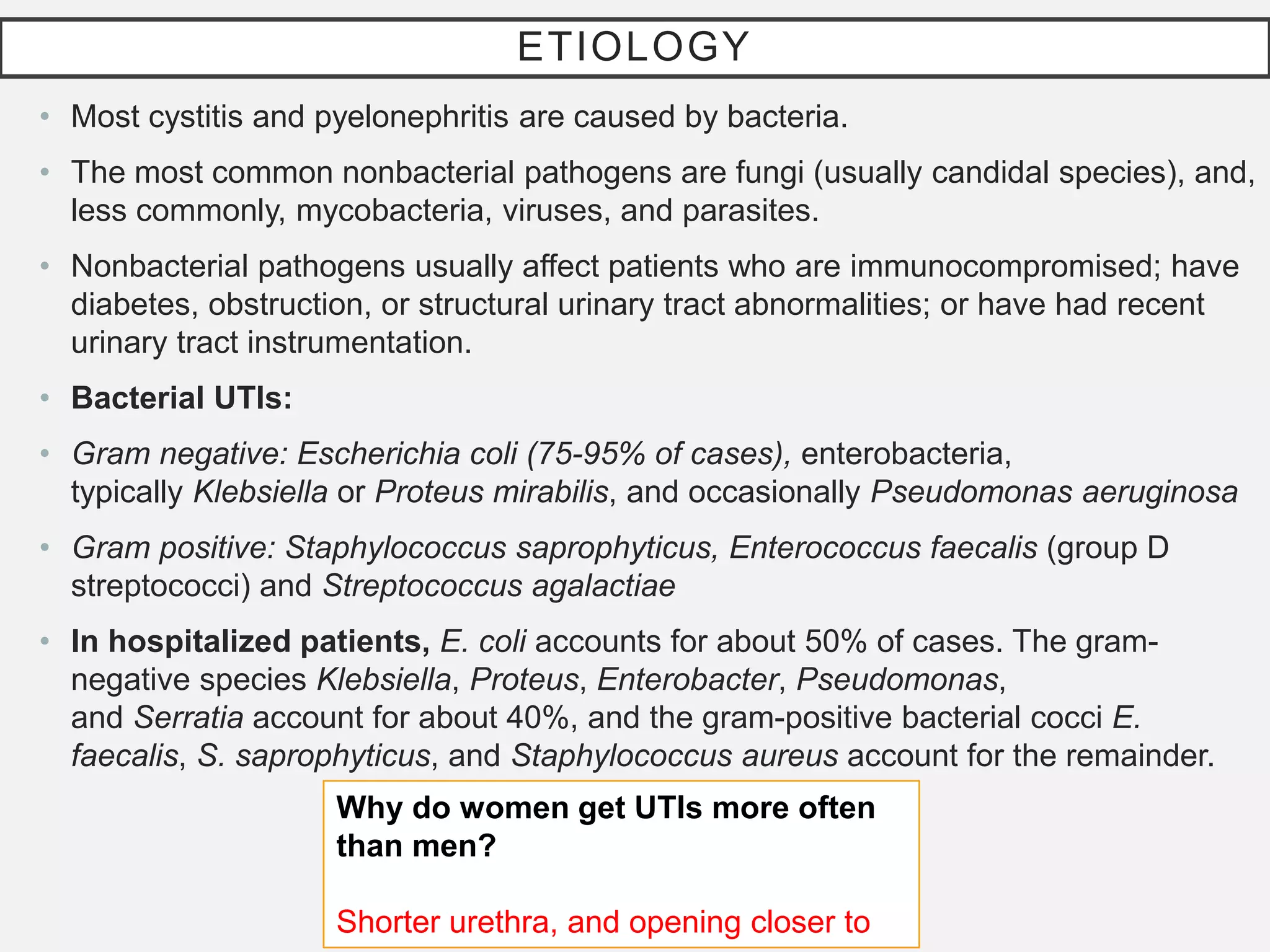 Pathophysiology urinary tract infections | PPTX