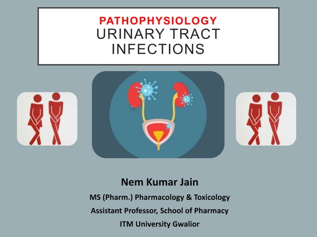 Pathophysiology urinary tract infections | PPTX | Infectious Diseases ...