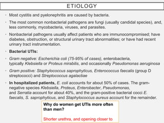 Pathophysiology urinary tract infections | PPTX