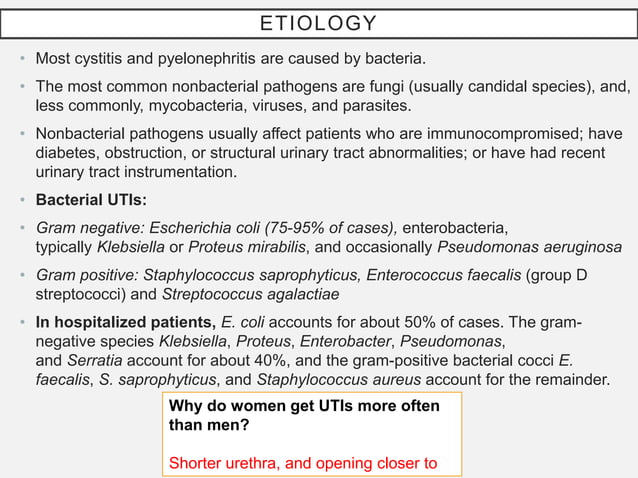 Pathophysiology urinary tract infections | PPTX | Infectious Diseases ...