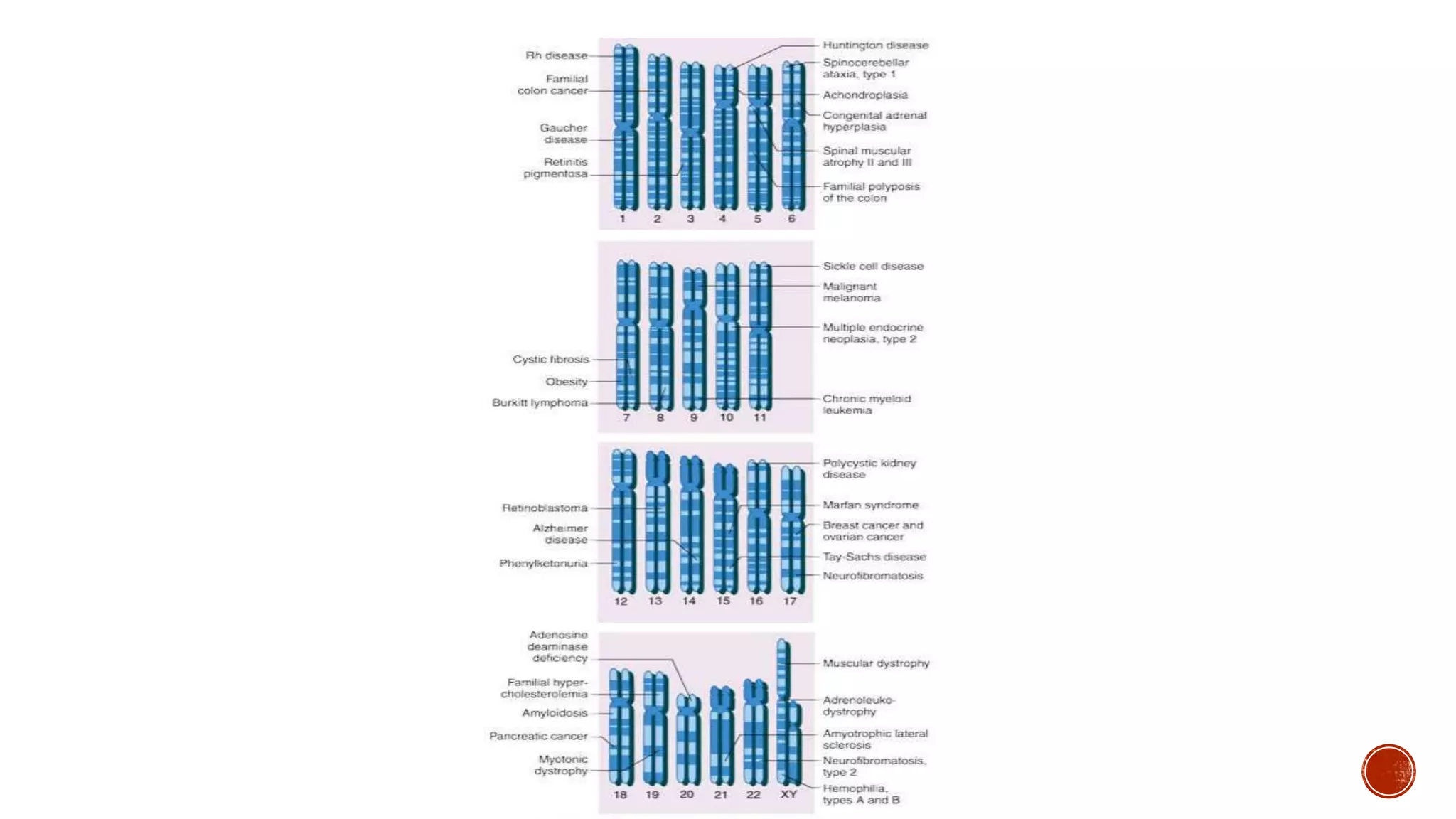Pathophysiology pptx | PPTX