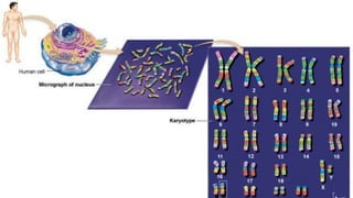 Pathophysiology pptx | PPTX