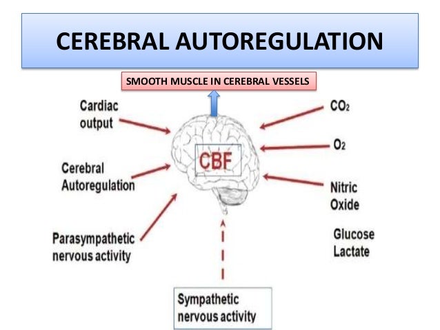 Pathophysioloy of stroke