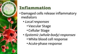 Pathophysio_Module_2 - Inflammatory Response | PDF