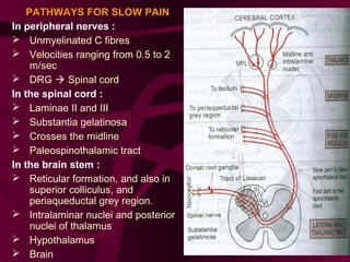 Pathophysio of pain | PPT