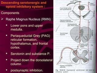 Pathophysio of pain | PPT