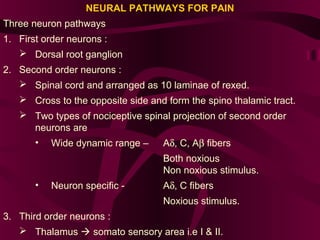 Pathophysio of pain | PPT