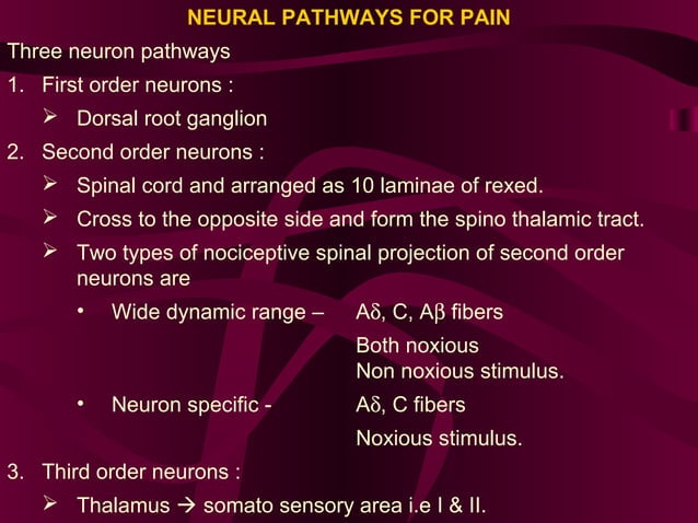 Pathophysio of pain | PPT | Brain and Nervous System Disorders ...