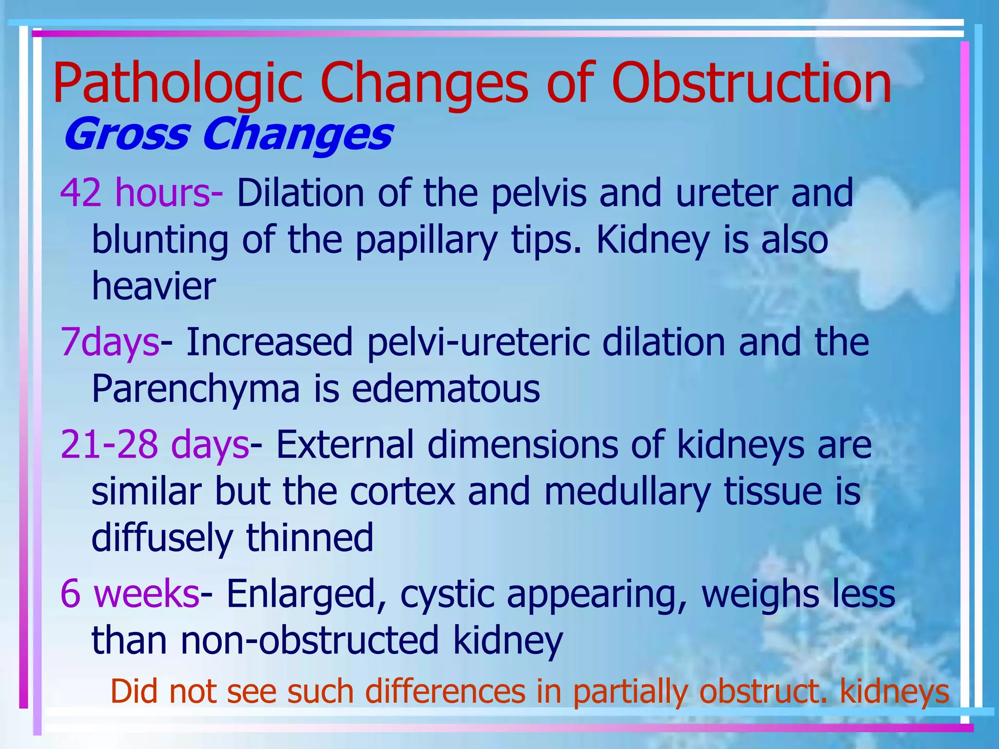 Pathophysioogy of urinary tract obstruction bassem presentation | PPT