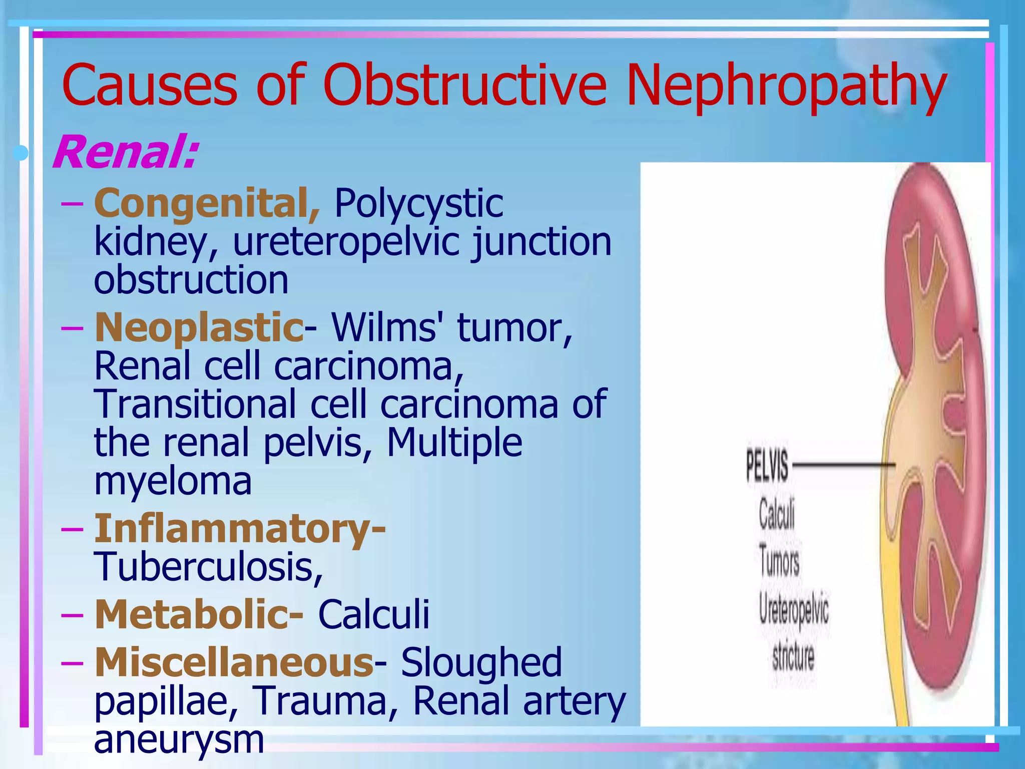 Pathophysioogy of urinary tract obstruction bassem presentation | PPT