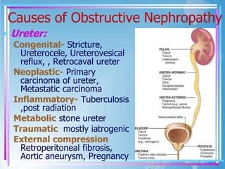 Pathophysioogy of urinary tract obstruction bassem presentation | PPT