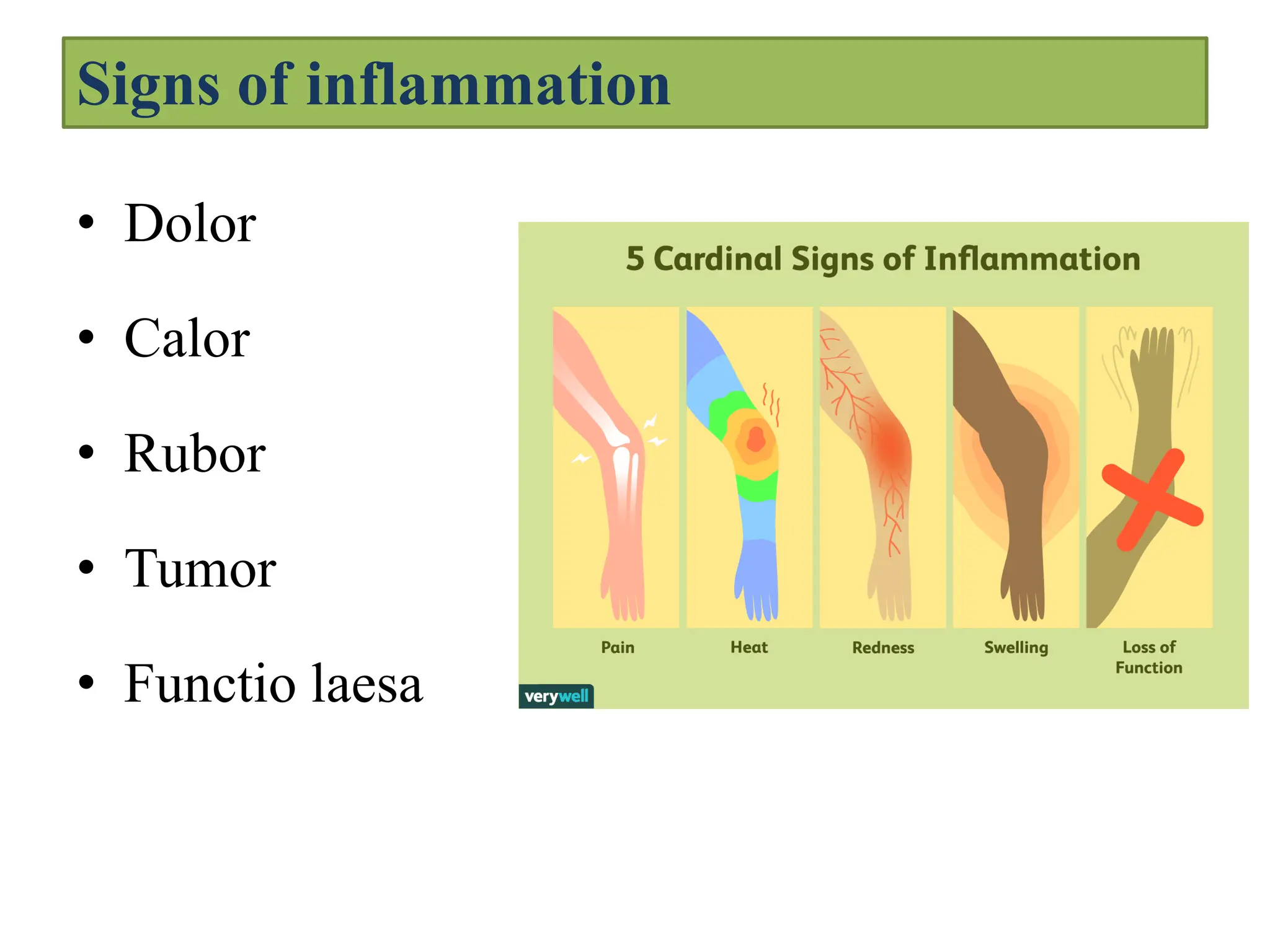 pathophysiology- terminologies bsc nursing slides notes | PDF