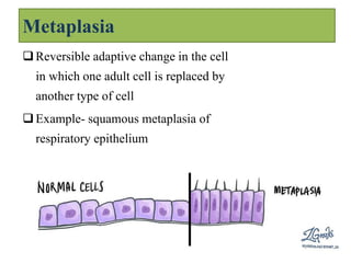 pathophysiology- terminologies bsc nursing slides notes | PDF