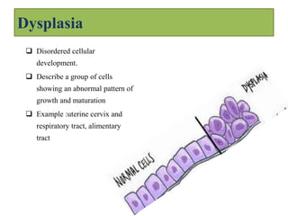 pathophysiology- terminologies bsc nursing slides notes | PDF