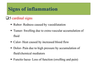 pathophysiology- terminologies bsc nursing slides notes | PDF