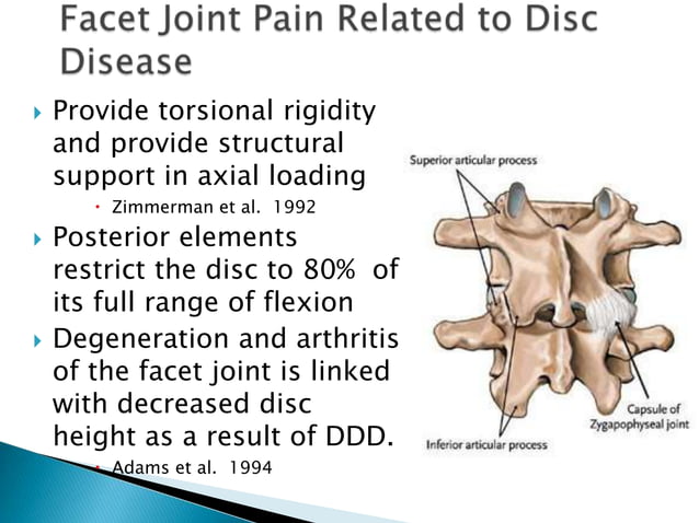 Pathophysiology of low back pain | PPTX